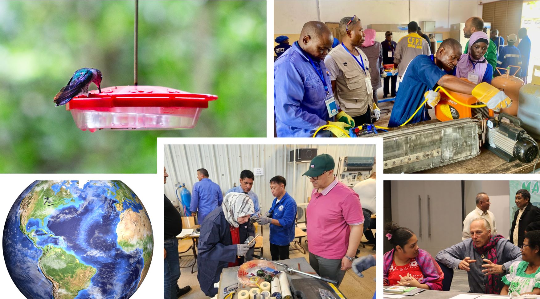 World Ozone Day, 16 September 2025 | Ozonaction