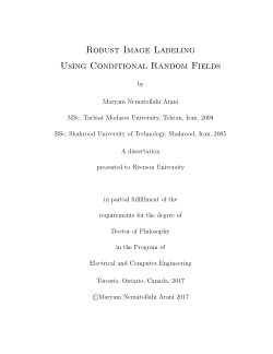Robust Image Labeling Using Conditional Random Fields