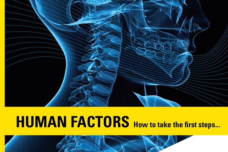 Step Change in Safety